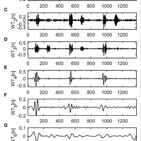 Wavelet Transform Wt Decomposition On A Simulated Fetal