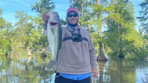 Catching Big Bass Santee Cooper Youtube