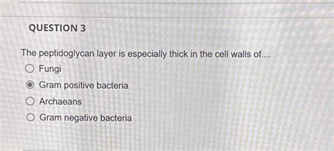Solved A Bacteriophage Or Phage Is A Kind Ofa Virus B