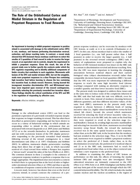 Pdf The Role Of The Orbitofrontal Cortex And Medial Striatum In The Regulation Of Prepotent