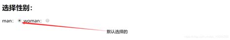 Html表单标签＜form＞＜form＞登录窗口和单选框以及下拉栏的制作html中正方形单选框组 Csdn博客