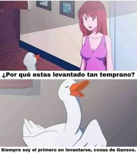 Best Funny Ganso Memes 9GAG