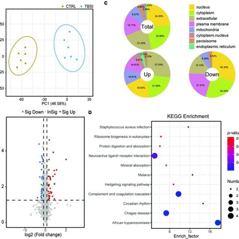 Analysis Of Proteomic Data In Rat Brainstem A Pca Of Proteomic Data