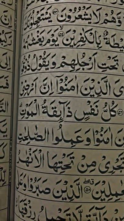 Viral Youtubeshorts Snapchat Beauty Allah Subhanallah