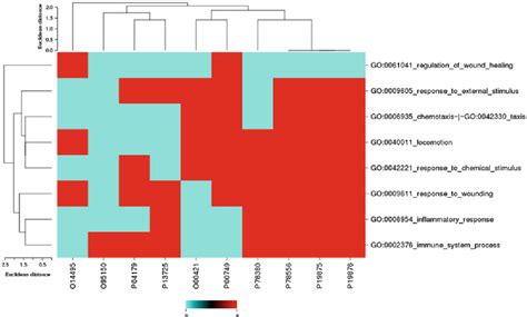 Figure 1 From Chapter 15 Visualizing Go Annotations Semantic Scholar