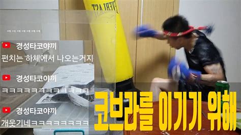 코브라와 싸울 준비 중입니다 패배는 곧 죽음 지는 쪽은 죽습니다 Youtube