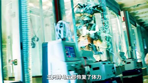 《忍者神龟》03小女孩放生了四只小乌龟，结果长大成为忍者神龟腾讯新闻