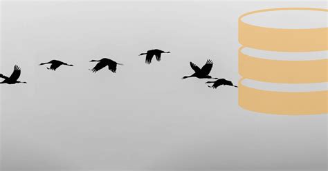 Mongodb To Couchbase Migrations Tips The Couchbase Blog