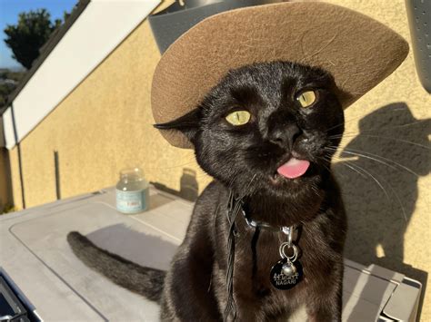 Howdy Scrolller