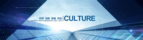 抗晃电模块 洛阳双英电气控制设备有限公司