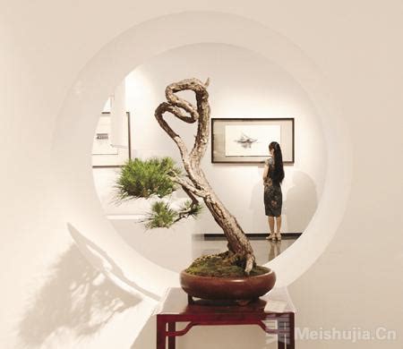 中国收藏网 新闻中心 长三角地区青年民间工艺精品展举办