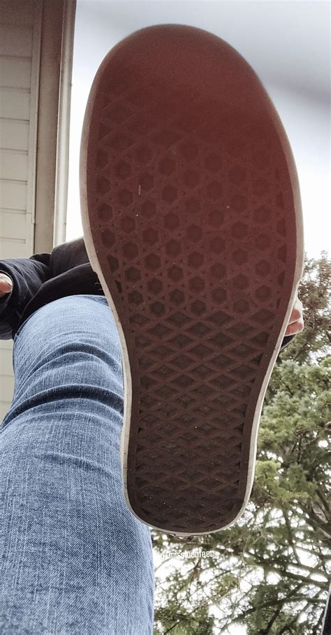 My New Vans Are Going To Crush You Little Bug You Better Run R