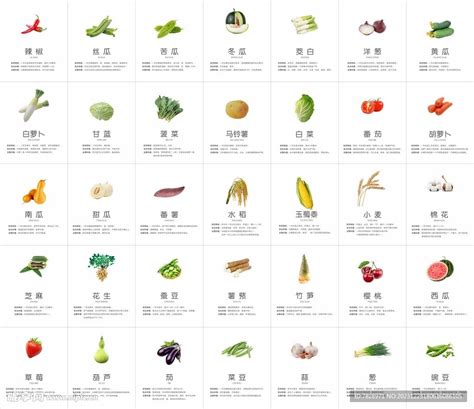 35种蔬菜水果设计图 蔬菜 生物世界 设计图库 昵图网