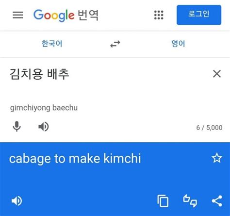 구글 김치용 배추 영어 번역에 Chinese 뺐다서경덕 꾸준히 항의 파이낸셜뉴스