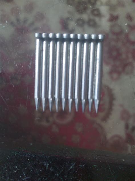 Socks When Laff Says Socks He Has No Hair Rsocksfor1submissions