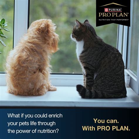 Midlands Veterinary Wholesalers On Linkedin Proplansouthafrica