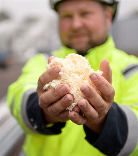 Materiality Analysis Rottneros