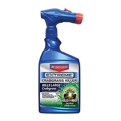 I Tested Greenlight Wipeout Crabgrass Killer And The Results Were Amazing