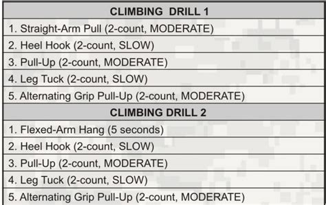 Army Physical Readiness Training Quick Reference Card 2023 Army Prt