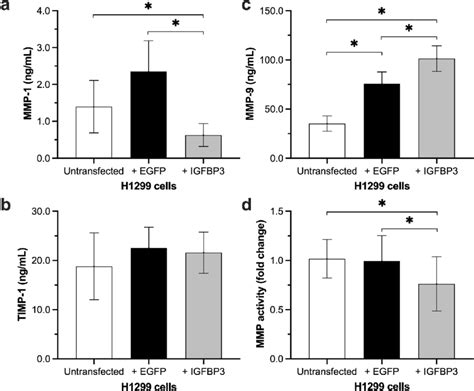 Influence Of Igfbp3 On Mmp Expression And Activity Igfbp3 Transfected Influence Of Igfbp3 On Mmp Expression And Activity Igfbp3 Transfected
