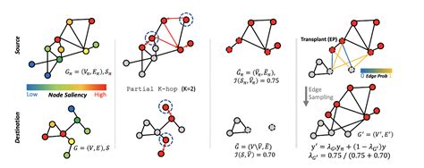 Graph Transplant Data Centric Graph Data Augmentation