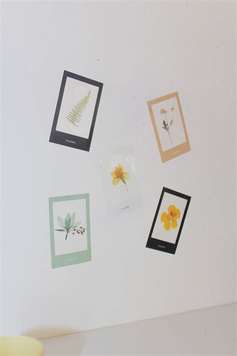 플라워 폴라로이드 스티커