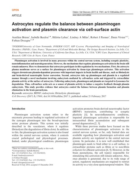 Pdf Astrocytes Regulate The Balance Between Plasminogen Activation