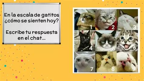 ALGORITMO DE LA MULTIPLICACIÓN profe social