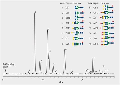 Hplc Analysis Of N Linked Glycans On Bioshell Glycan Application For
