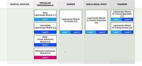 Gesea4eu Gesea Learning Modules Laparoscopy Modules Gesea