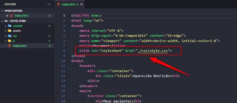 Dúvida O Que Eu Coloco No Css Não Passa Para O Navegador Html5 E