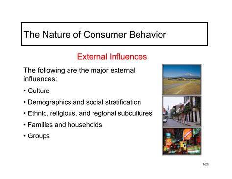 Bb Chapter One Consumer Behavior And Marketing Strategy Pdf
