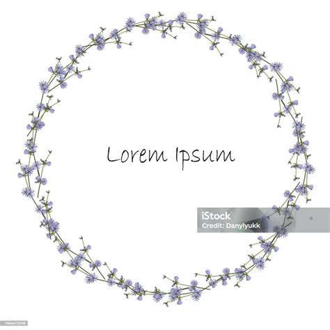 아빠의 둥근 테두리 Aquilegia 과일 로렘 입섬 흑백 그래픽 손으로 그린 디자인 요소 스톡 벡터 일러스트 0명에 대한 스톡 벡터 아트 및 기타 이미지 Istock