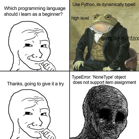 Just Use Python Bro R Programmerhumor