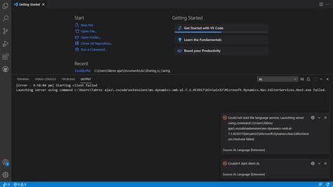 [error] “connection to server is erroring shutting down server or