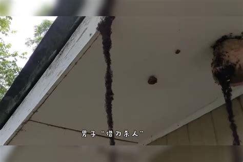 将汽油倒进蚁穴本想消灭蚂蚁谁料竟将整个院子炸飞了 蚁穴 蚂蚁 院子