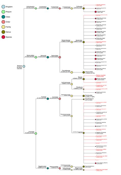 16s 18s Its Amplicon Metagenomic Sequencing Novogene