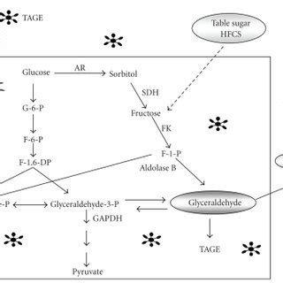 Production Routes Of Glyceraldehyde Derived Ages Glycer Ages In Vivo