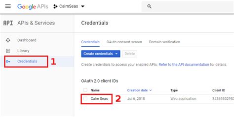 How To Set Google API RVglobalsoft