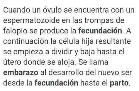 Fecundaci N Embarazo Y Parto Brainly Lat
