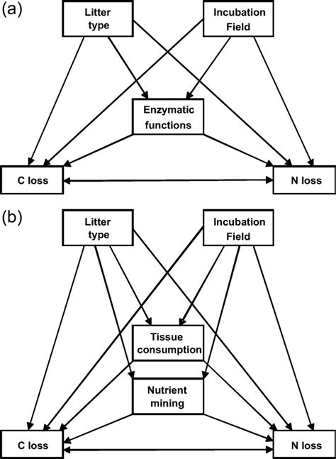 Conceptual Structural Equation Model Sem Summarizing A Priori