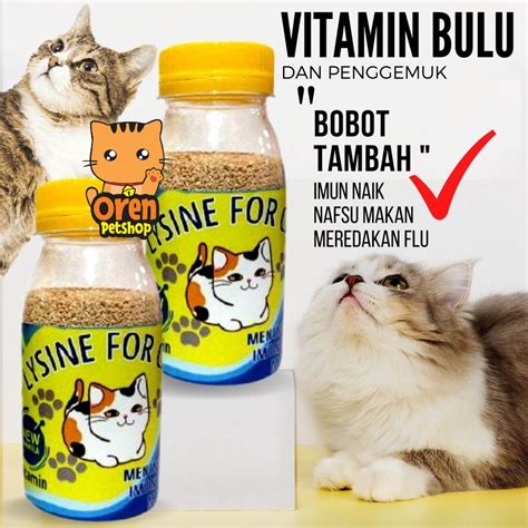 Jual Lysine For Cat 50gr Vitamin Penggemuk Dan Bulu Kucing Obat Bulu