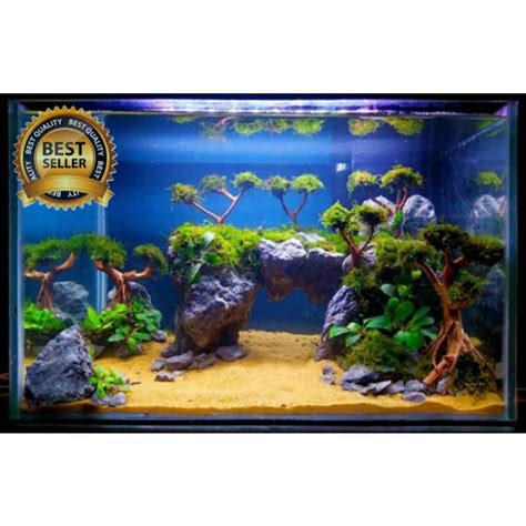 Jual Aquascape Aquascape Tema Tebing Fullset PO Indonesia Shopee Indonesia