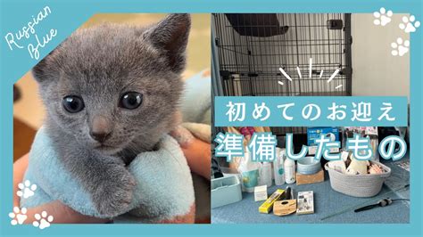 初めての子猫をお迎えする前に準備したもの【購入品紹介】 Youtube