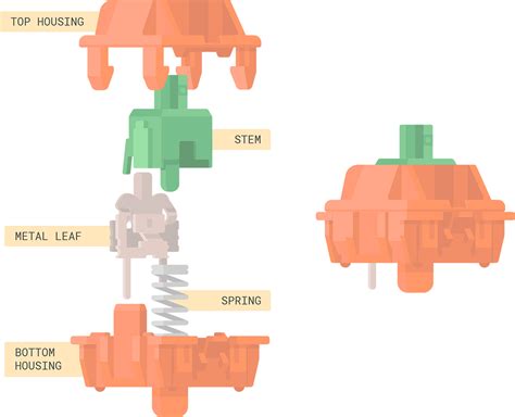 Switch Anatomy — Keyboard University