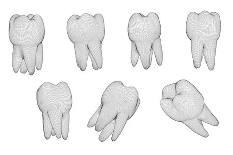 치과 의학에 대 한 3d 치아의 벡터 집합입니다 흰색으로 격리 3차원 형태에 대한 스톡 벡터 아트 및 기타 이미지 3차원