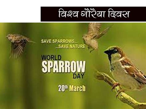 World Sparrow Day 2022 In Hindi विश्व गौरैया दिवस कब और क्यों मनाया