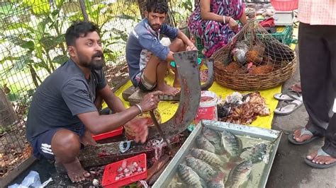 অনেক রকমের সামুদ্রিক মাছ আজ মাসি বাড়ি গিয়ে পলতা মাছ বাজারে ঘুরছিলাম