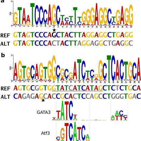 Two T1d Susceptibility Snps Have Allele Specific Thymocyte Motifs A